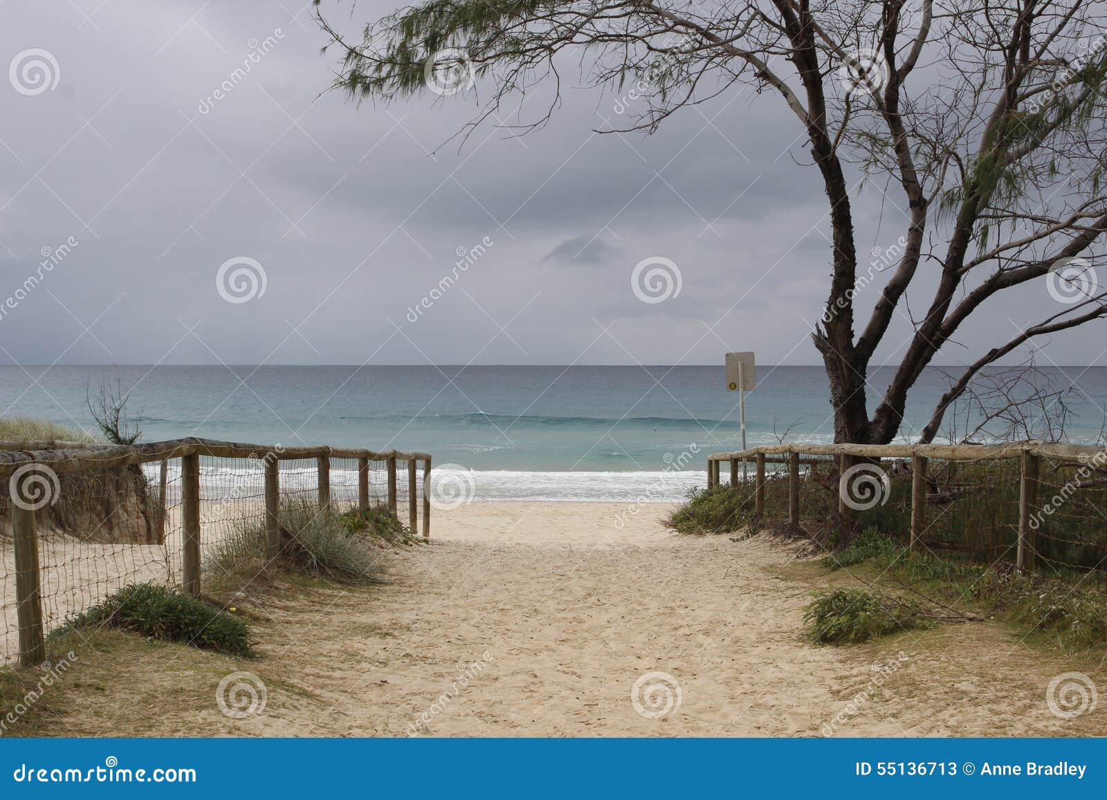 Pathway To the Beach Over the Sand Dune Stock Image - Image of grass ...