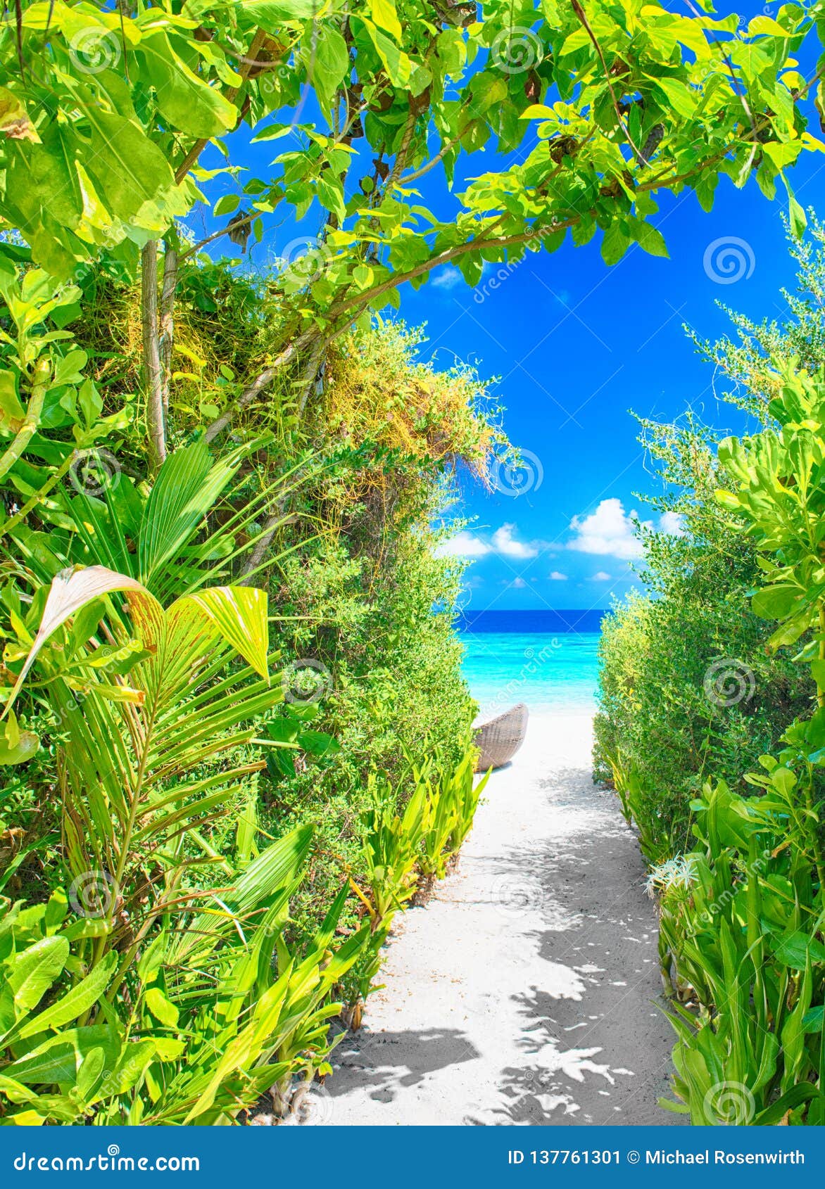 Pathway to beautiful beach stock image. Image of palm - 137761301