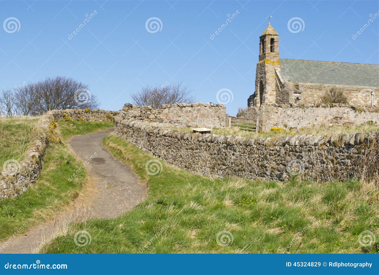 Pathway to Church stock image. Image of cathedral, tree - 45324829