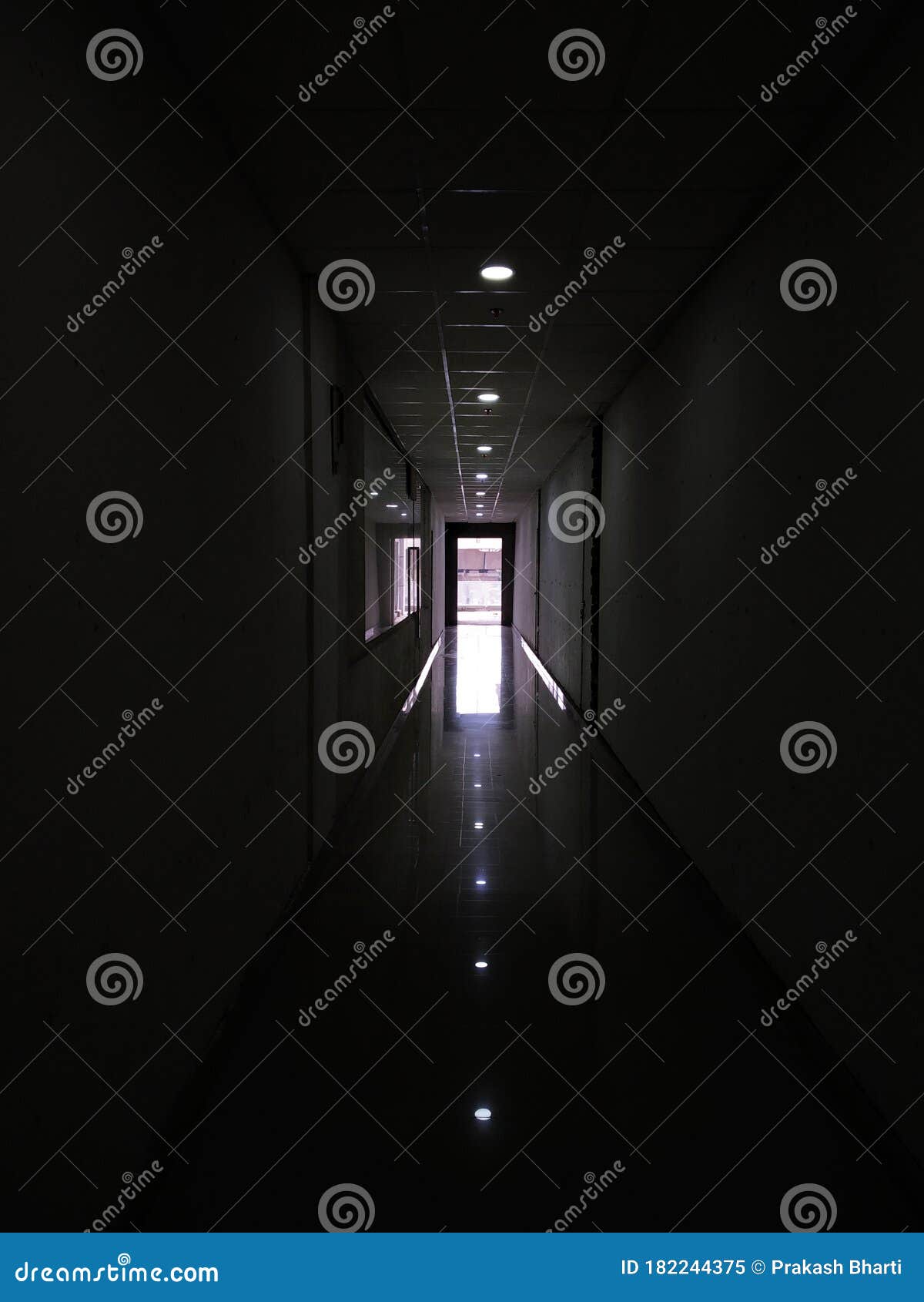 Pathway Through Scary Woods Royalty-Free Stock Photo | CartoonDealer ...