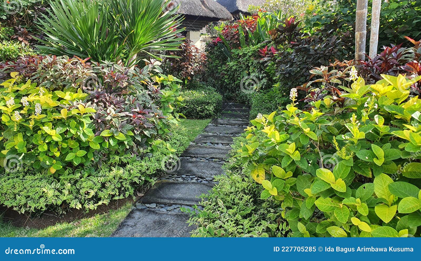 Pathway To Entrance Gate with Beautiful Garden Stock Image - Image of ...