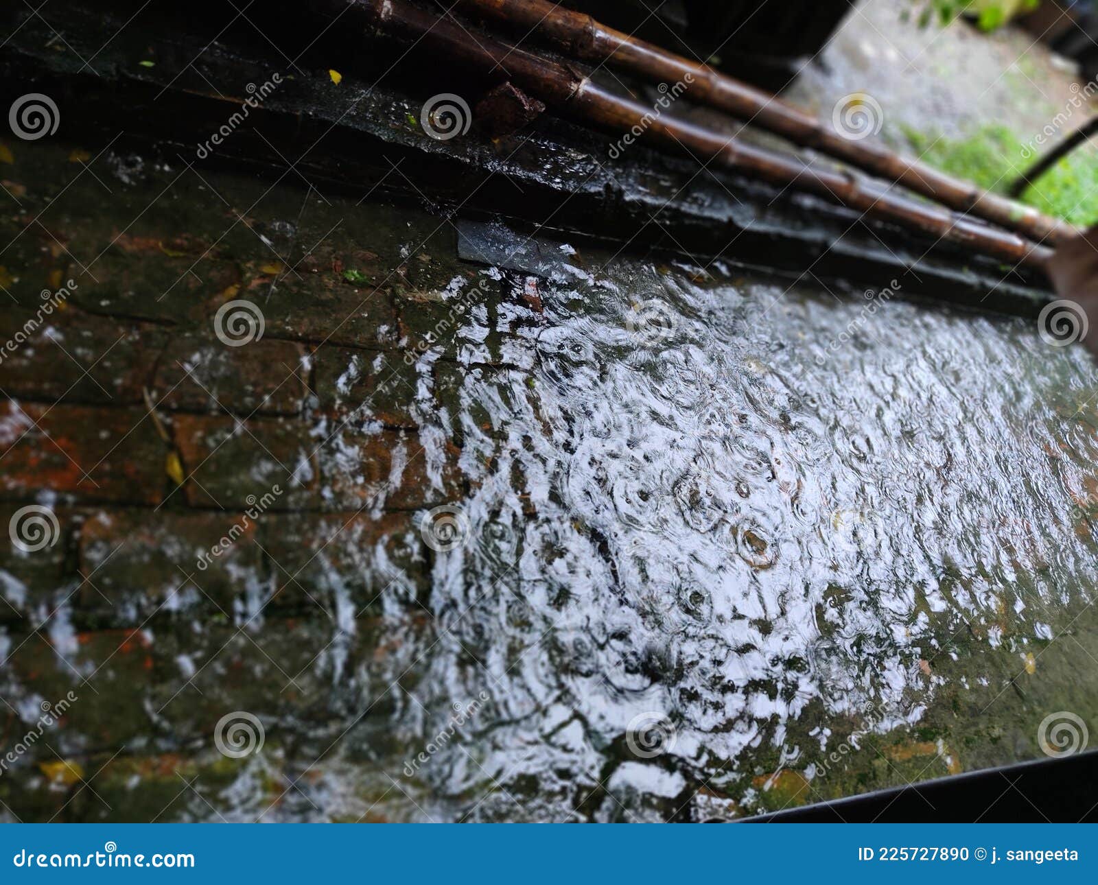 Pathway To a Forest on a Rainy Day Stock Photo - Image of pathway ...