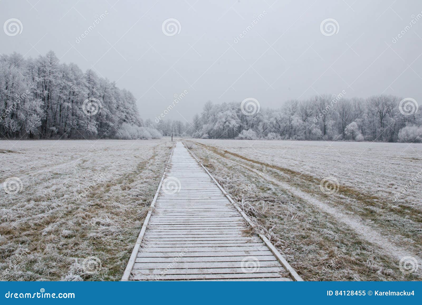 Pathway to frost stock image. Image of frozen, hoarfrost - 84128455