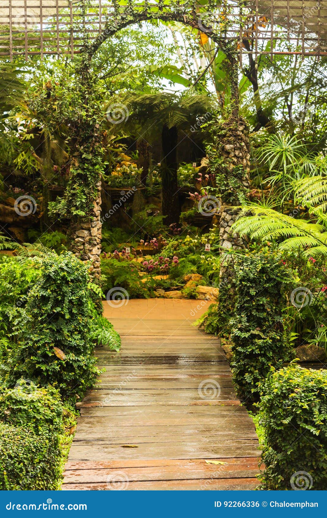 Pathway To the Gate in Garden Stock Photo - Image of secret, beauty ...