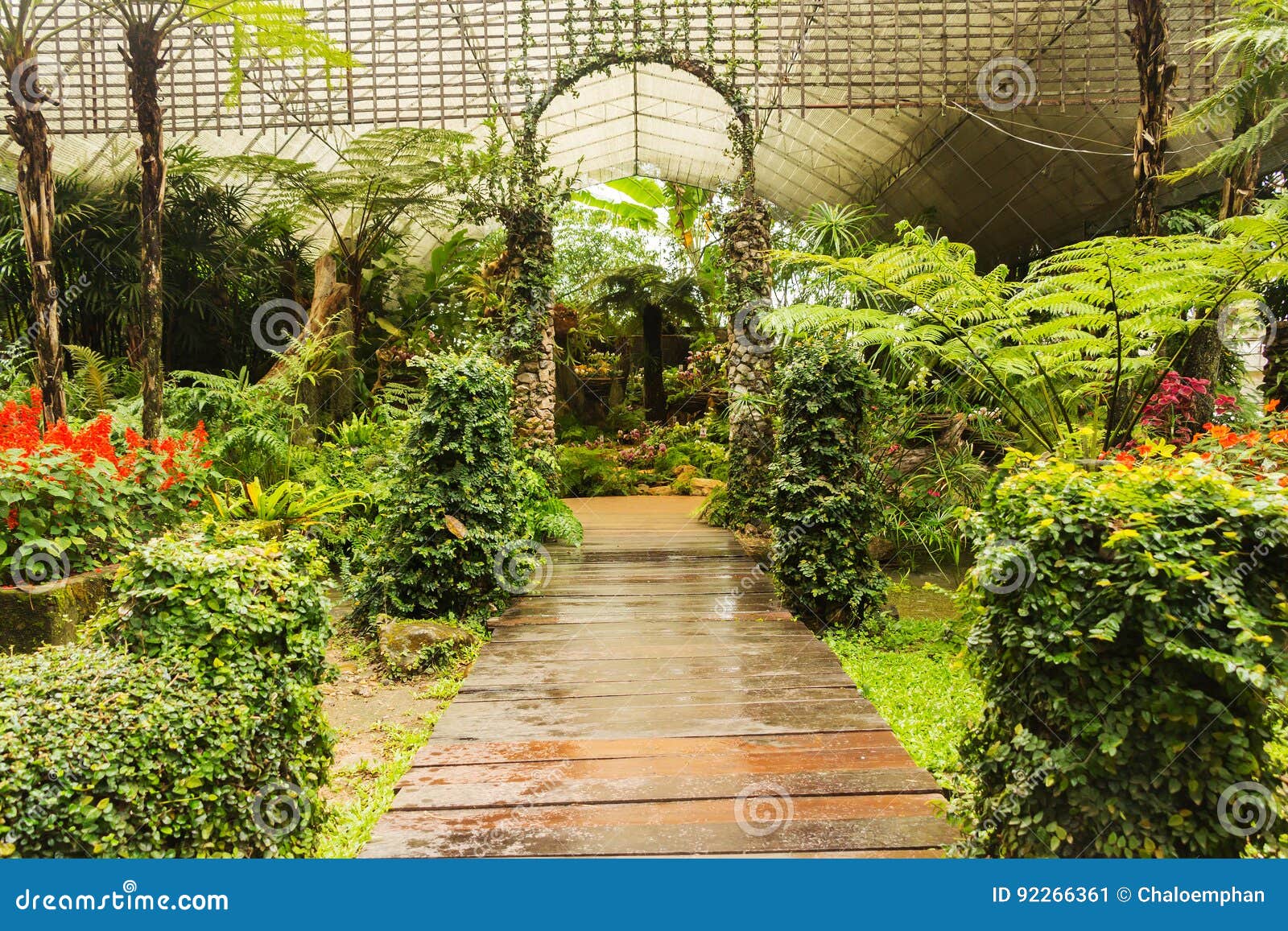 Pathway To the Gate in Garden Stock Image - Image of gardening ...