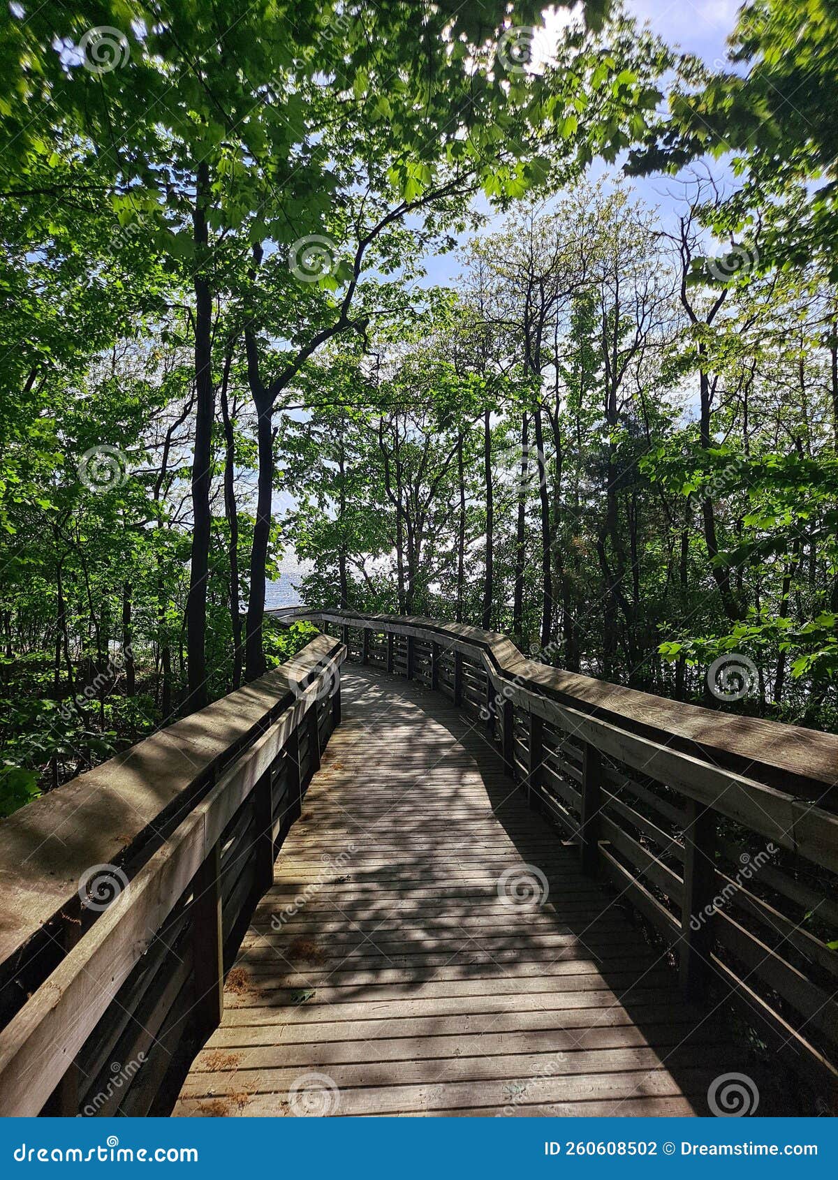 Pathway to Heaven stock photo. Image of heaven, waterway - 260608502