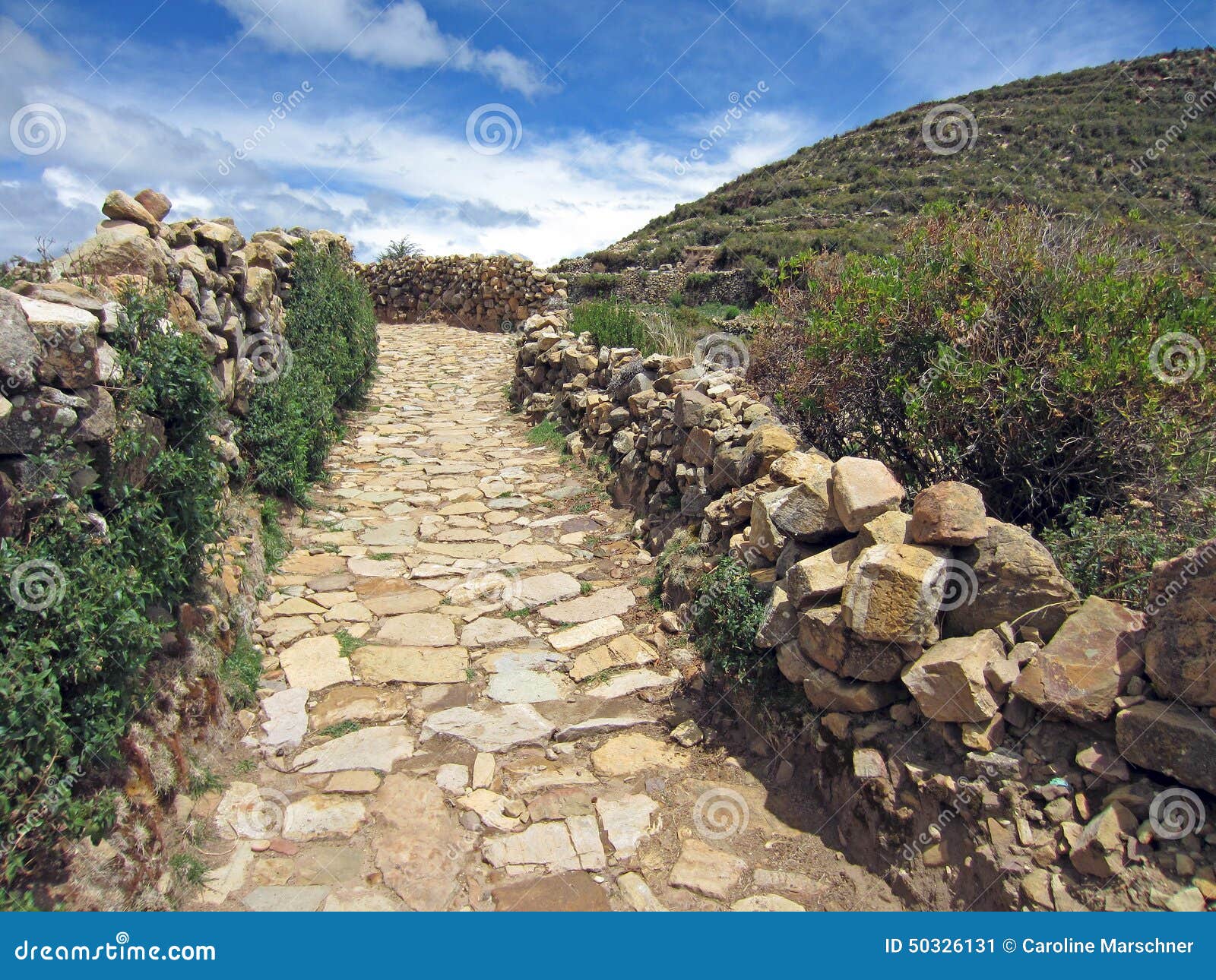 Pathway to heaven stock image. Image of high, natural - 50326131