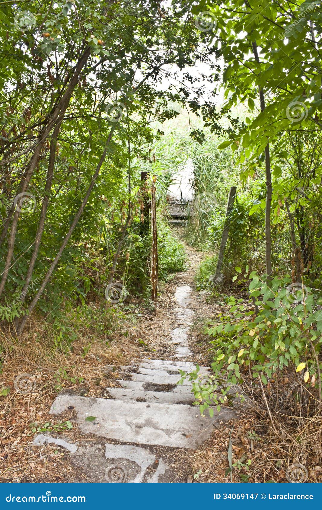 Pathway to the lakeside stock image. Image of path, exterior - 34069147