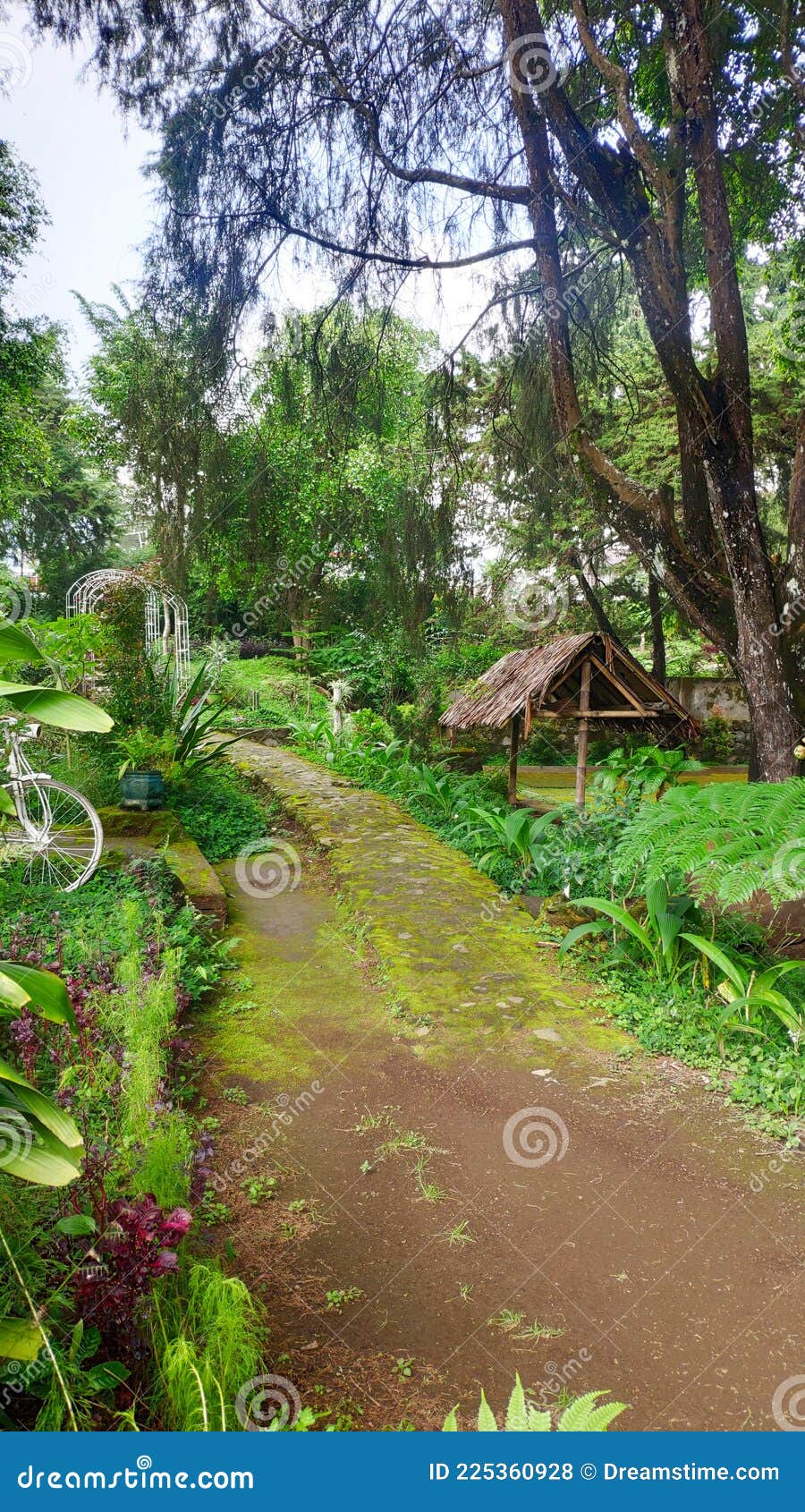 A Pathway To Magical Garden Stock Photo - Image of nature, stream ...