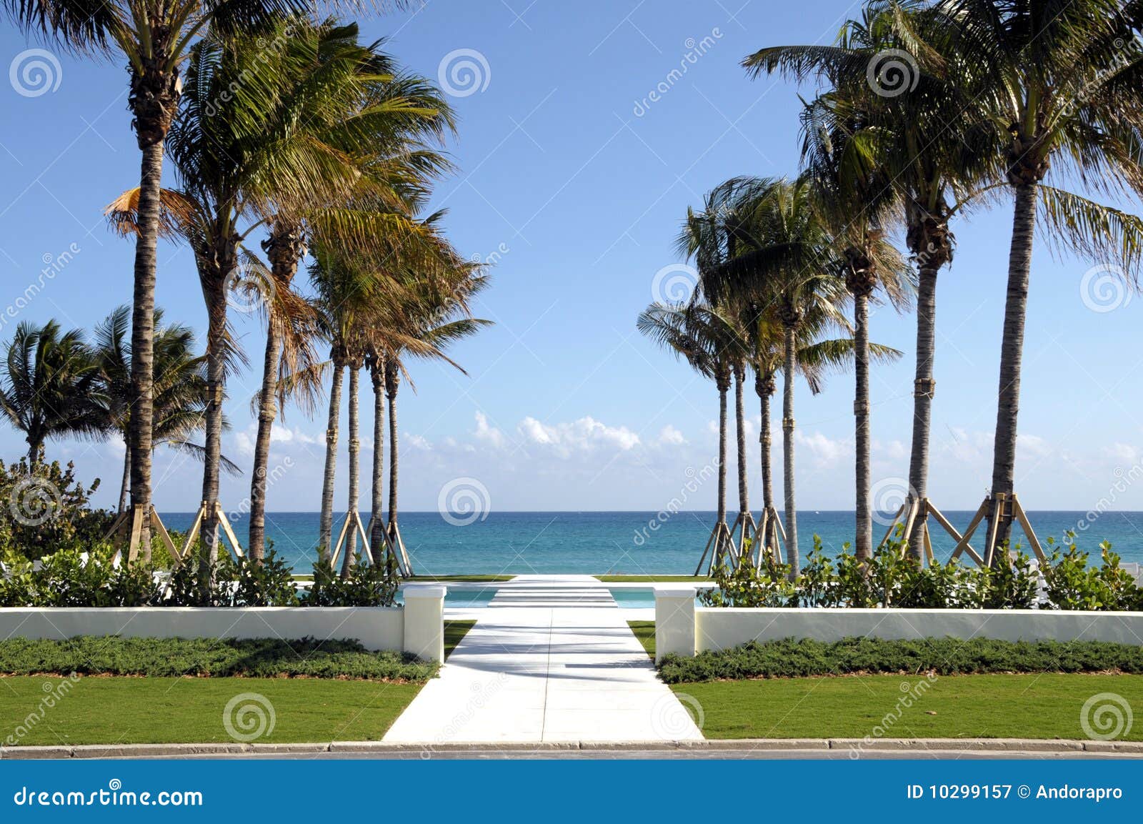 Pathway to the ocean stock image. Image of white, blue - 10299157