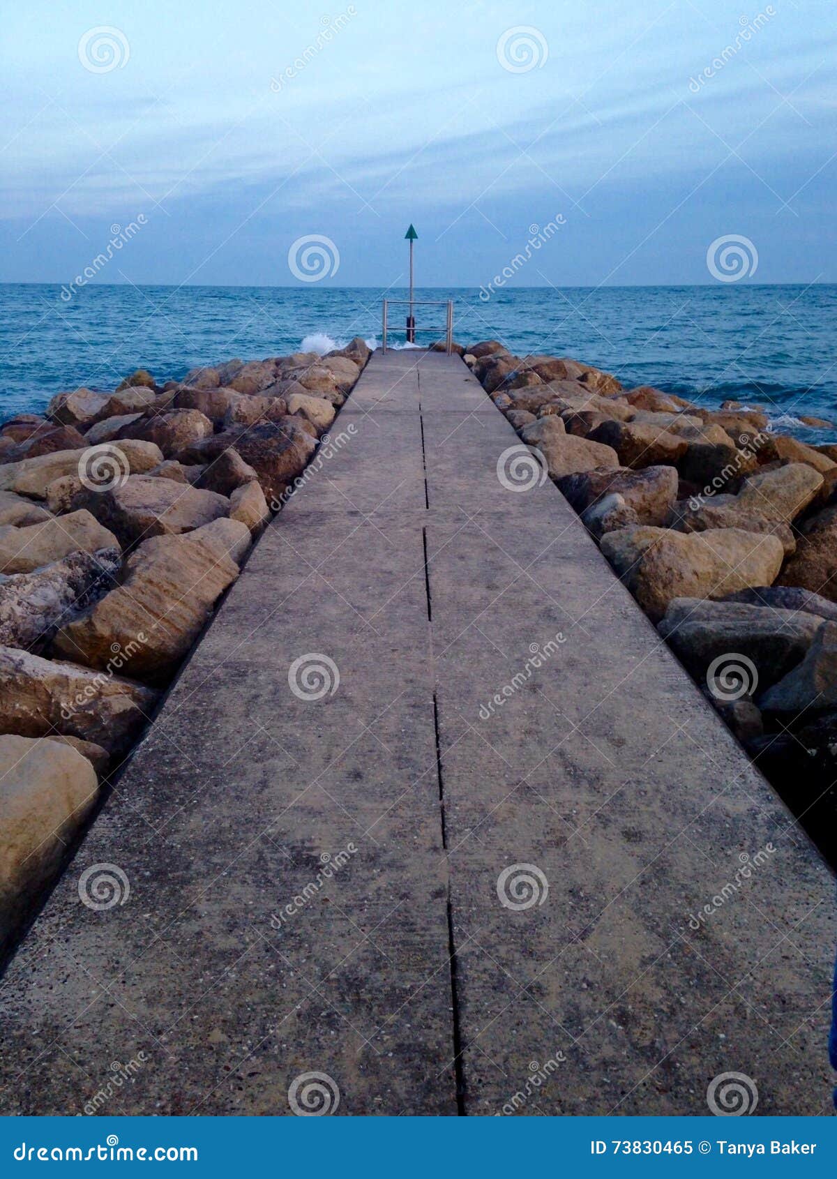 Pathway to the ocean stock image. Image of surrounded - 73830465
