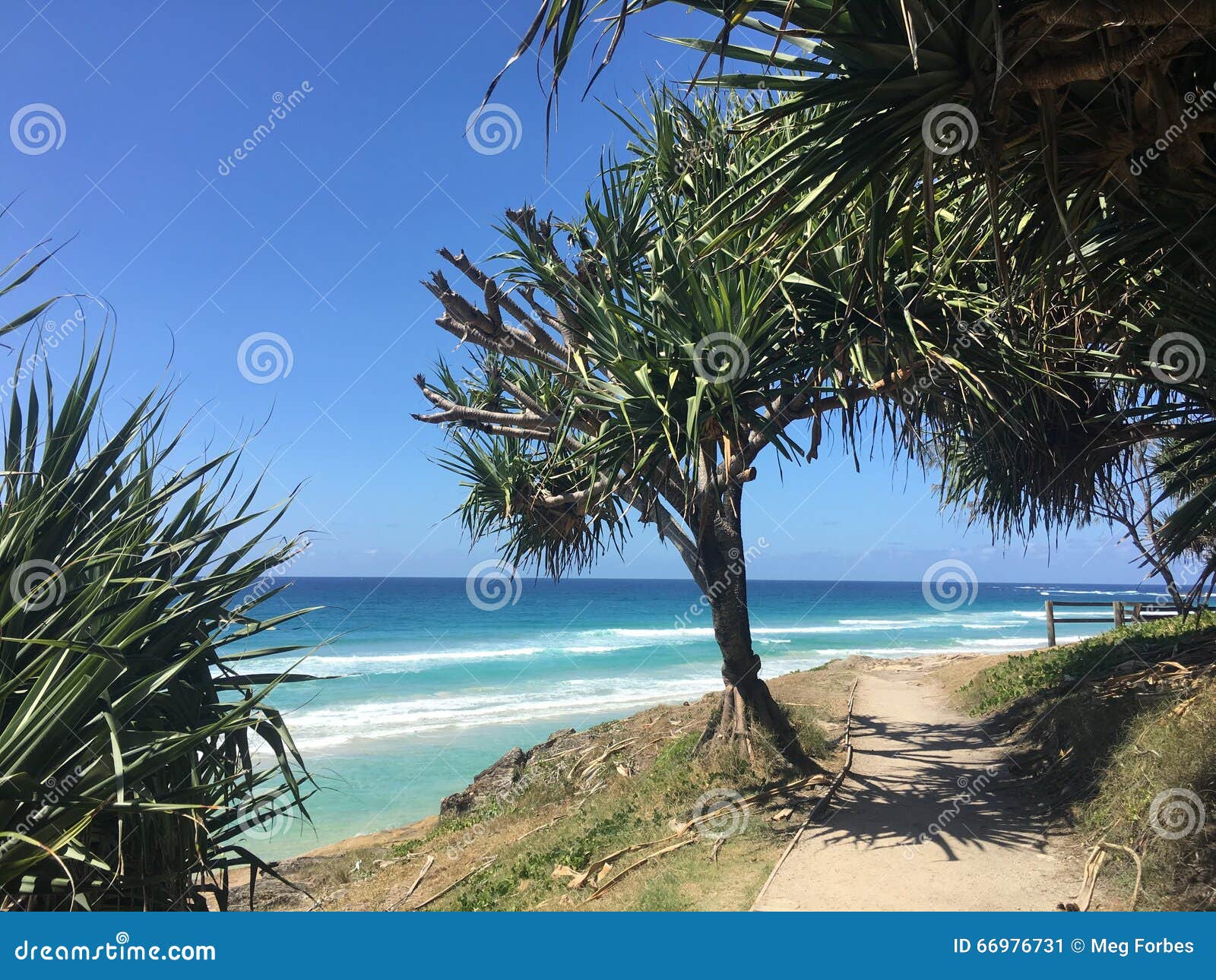 Pathway to paradise stock image. Image of surf, waves - 66976731