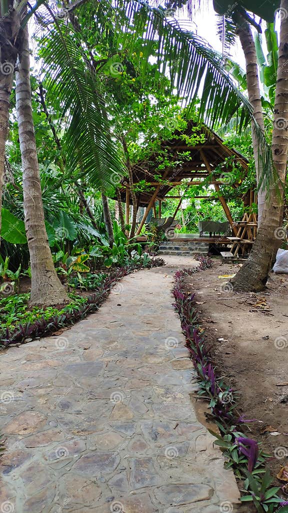 Pathway to the pavilion stock photo. Image of plant - 225361050