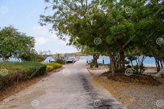 Pathway to port stock image. Image of walk, rock, green - 51538645