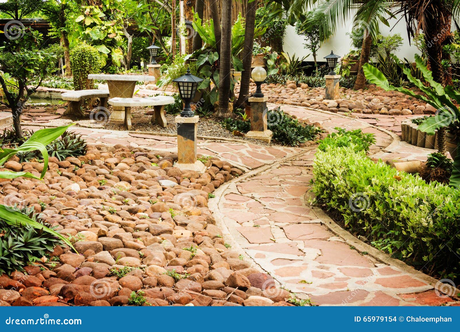 Pathway to residential. stock photo. Image of backyard - 65979154