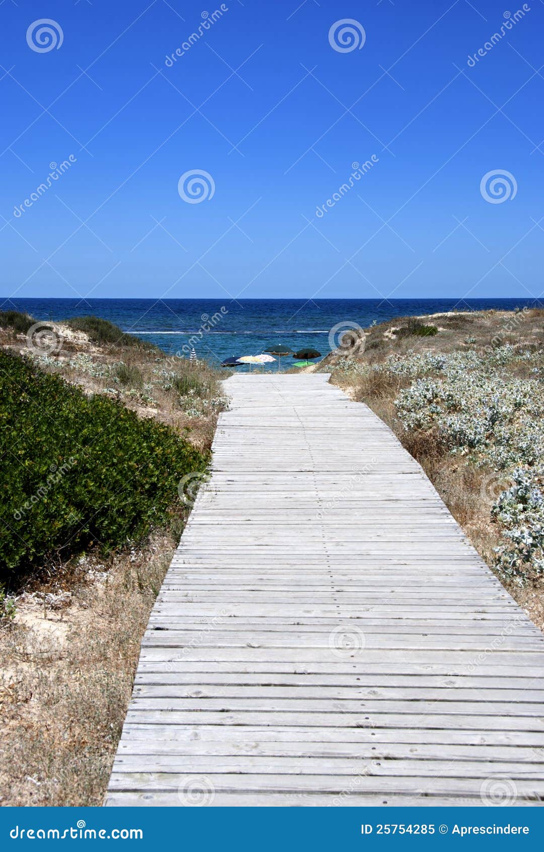 Pathway to the sea stock image. Image of beauty, beach - 25754285