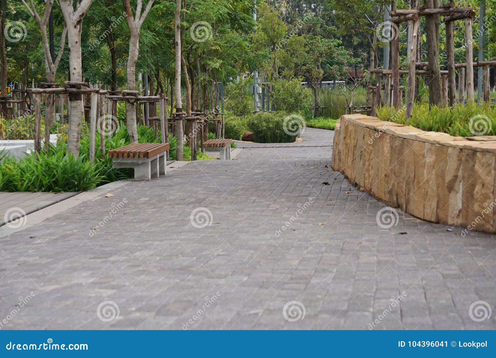 Pathway between Tree with Bench Stock Image - Image of wood, garden ...