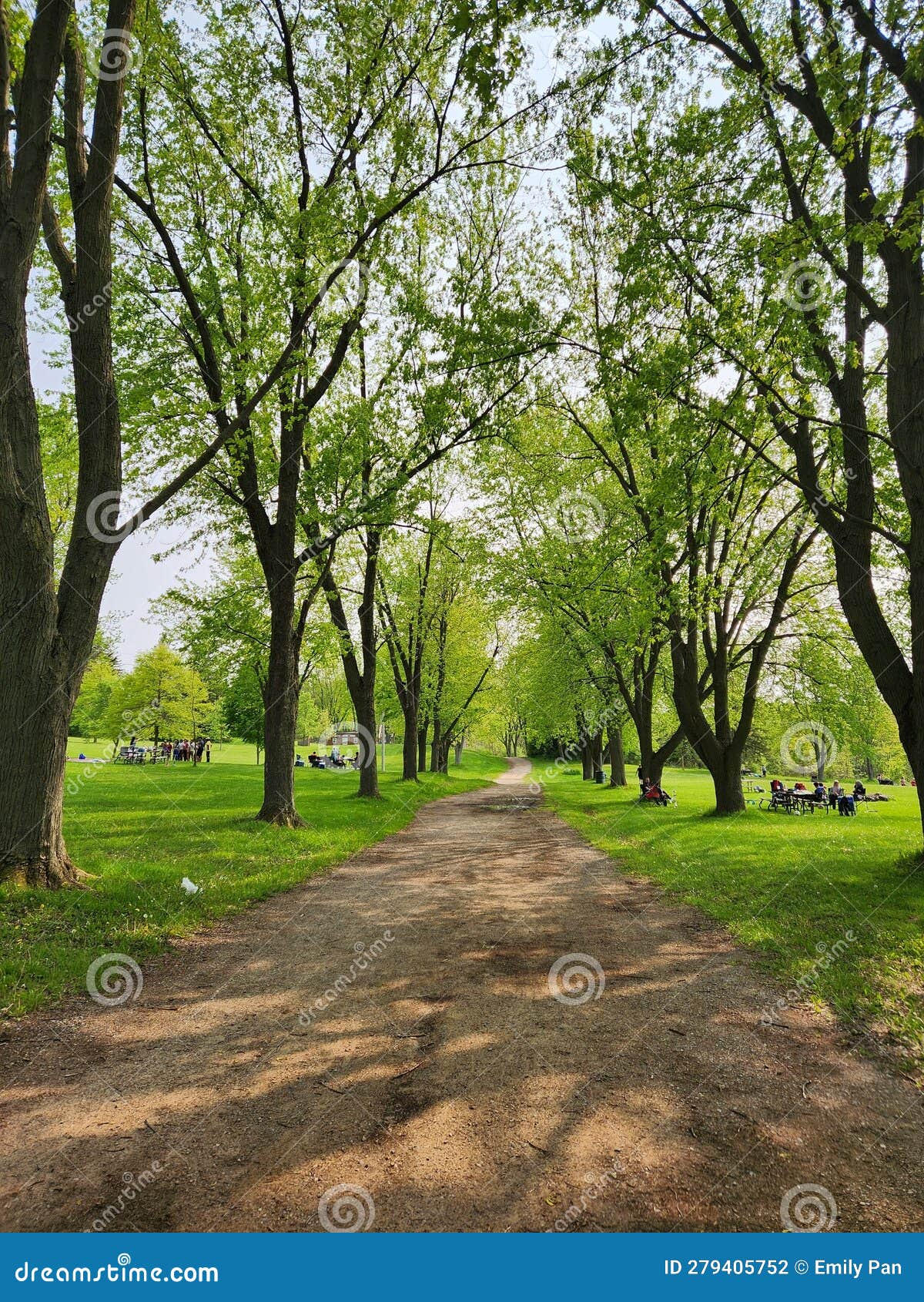 Pathway Tree Canopy Stock Photography | CartoonDealer.com #279405758