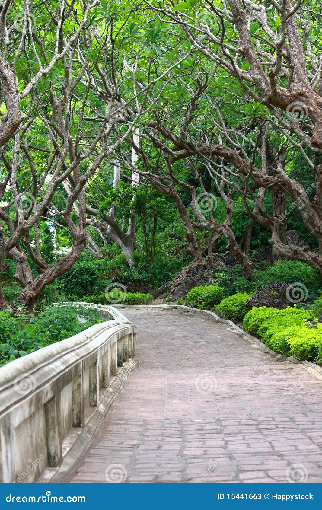 Pathway with trees stock image. Image of alley, green - 15441663