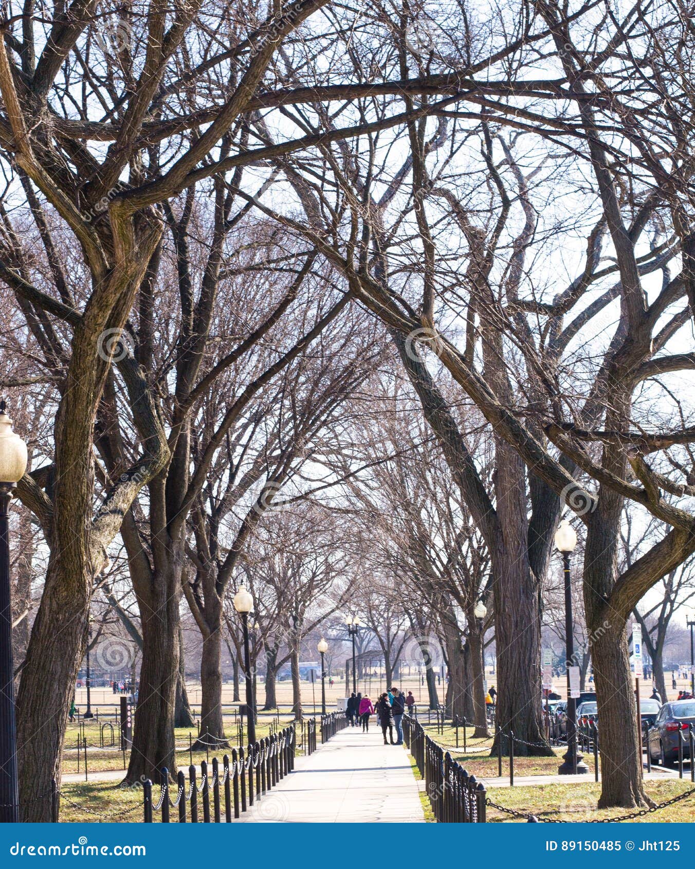 Pathway through the trees editorial image. Image of footpath - 89150485