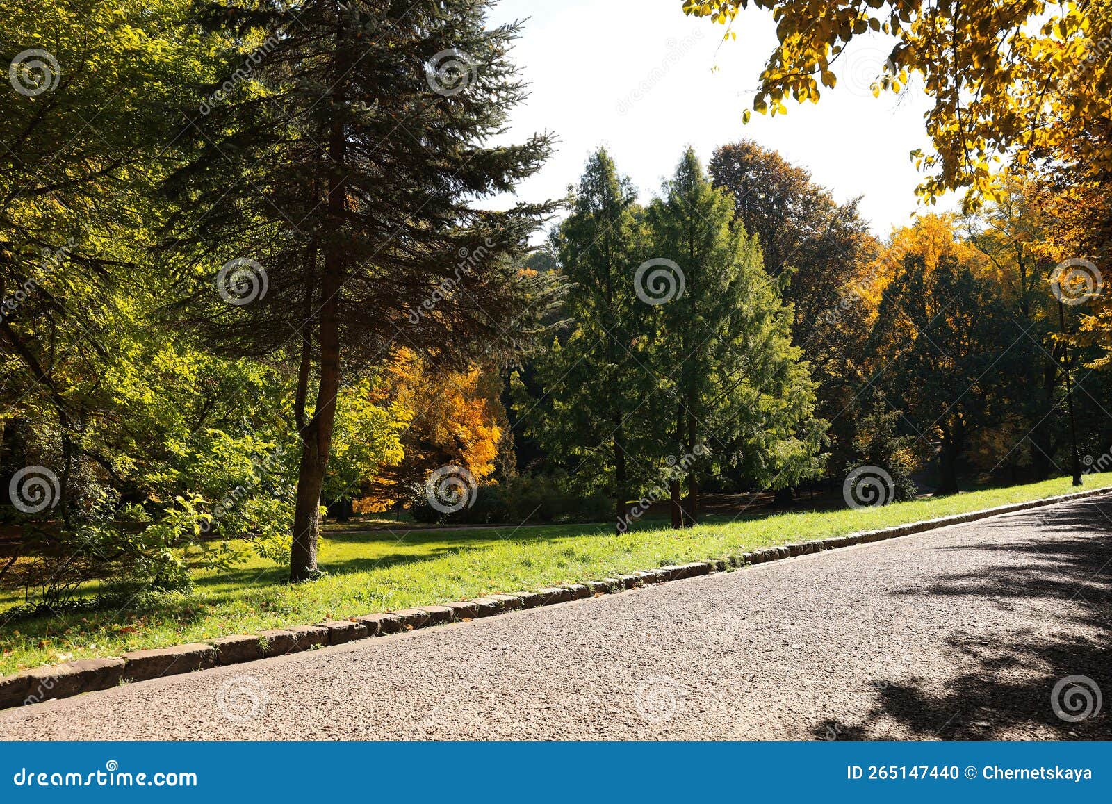 Pathway, Trees and Green Grass in Beautiful Park on Autumn Day Stock ...