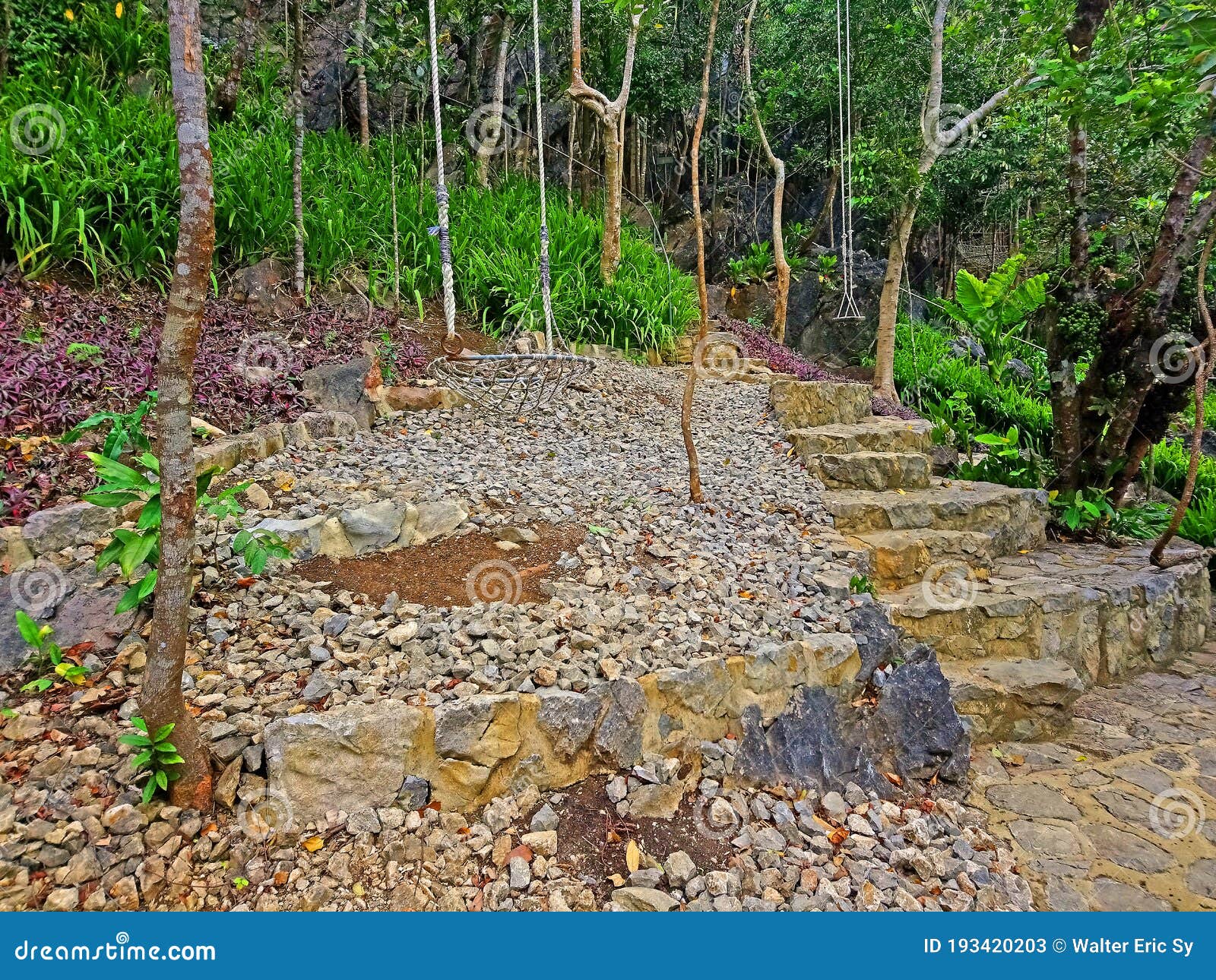 Pathway with Trees and Leaves at the Sides Stock Image - Image of walk ...