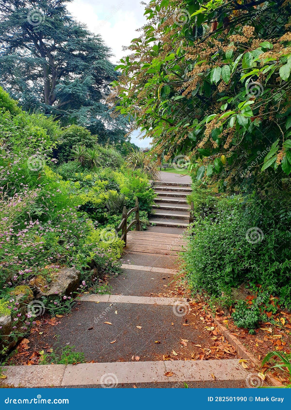 A Pathway between Trees in a Park Stock Photo - Image of summertime ...