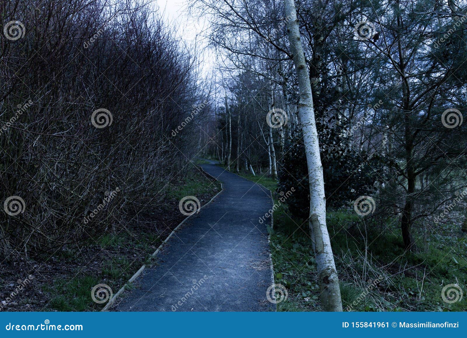 Pathway into the Trees. Scotland Stock Image - Image of travel, blue ...