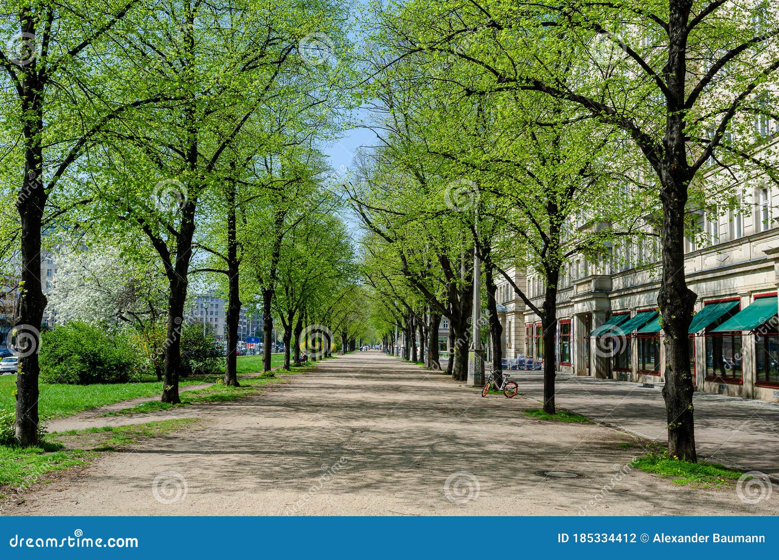 Pathway Through The Trees Stock Photo | CartoonDealer.com #91185624