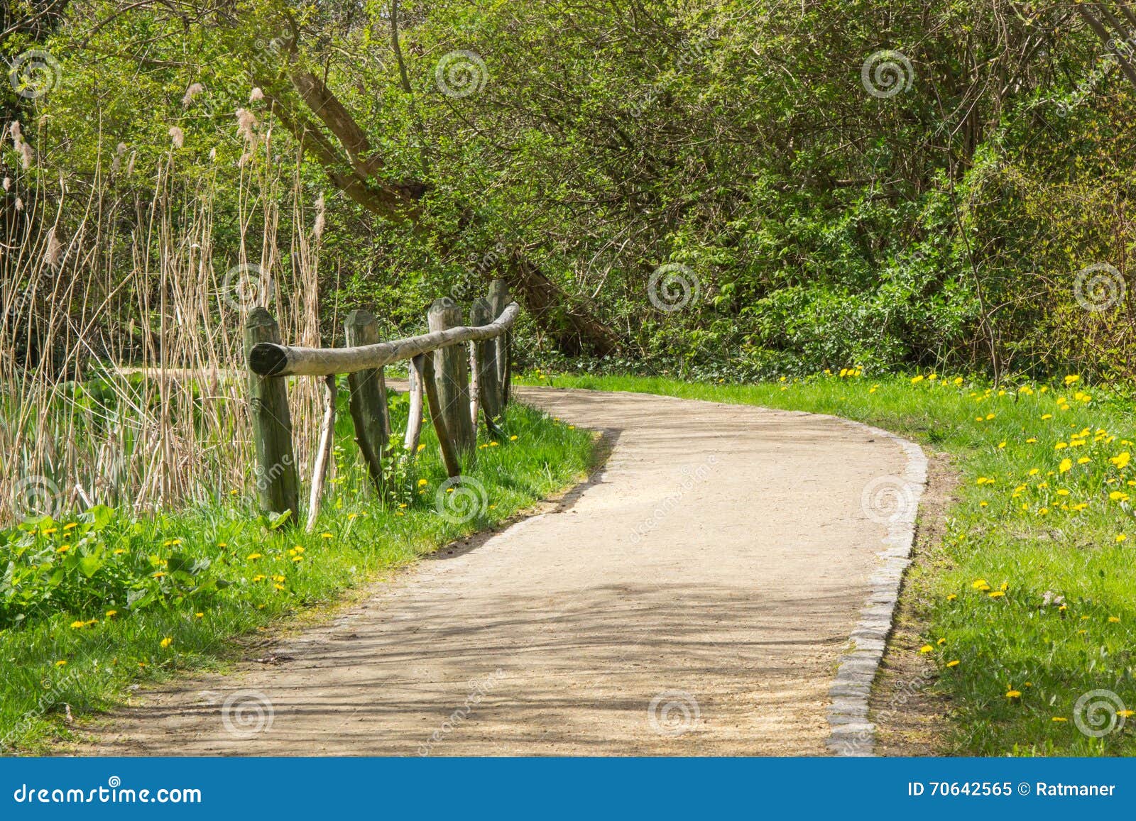 Pathway and Trees in Sunny Garden or Park, Springtime Stock Image ...