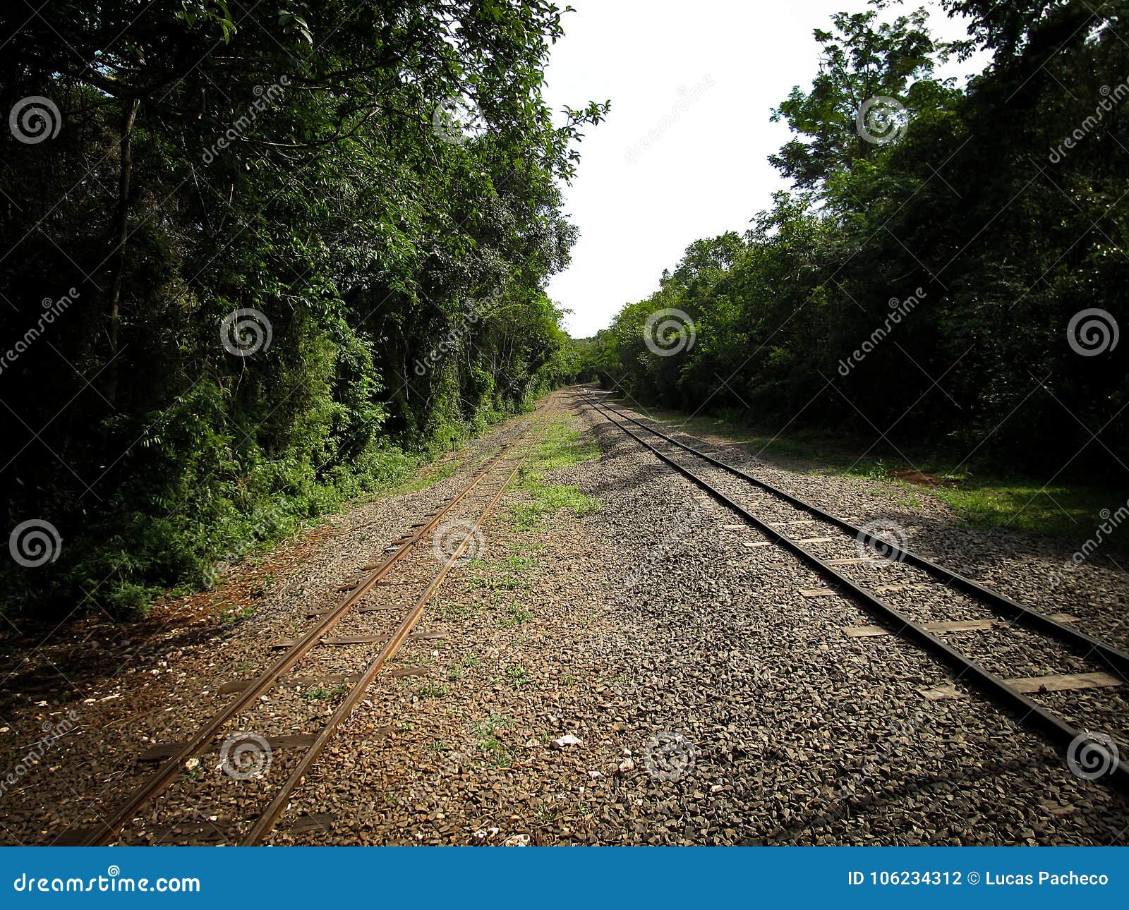 Pathway between the Trees, with Train Rails at Its Sides Stock Photo ...