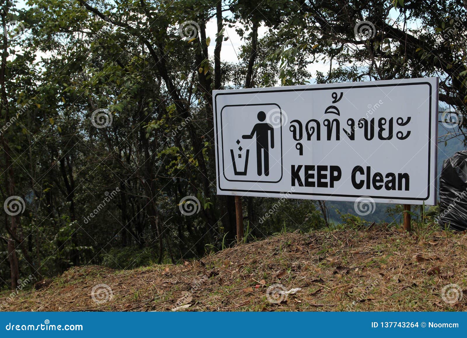 The Pathway in the Tropical Forest Stock Photo - Image of environment ...