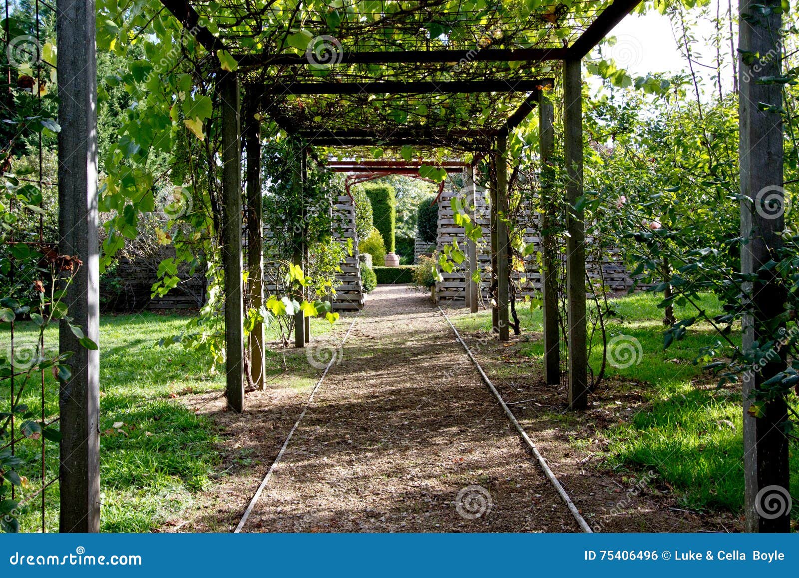 Pathway under arbour. stock photo. Image of sunshine - 75406496