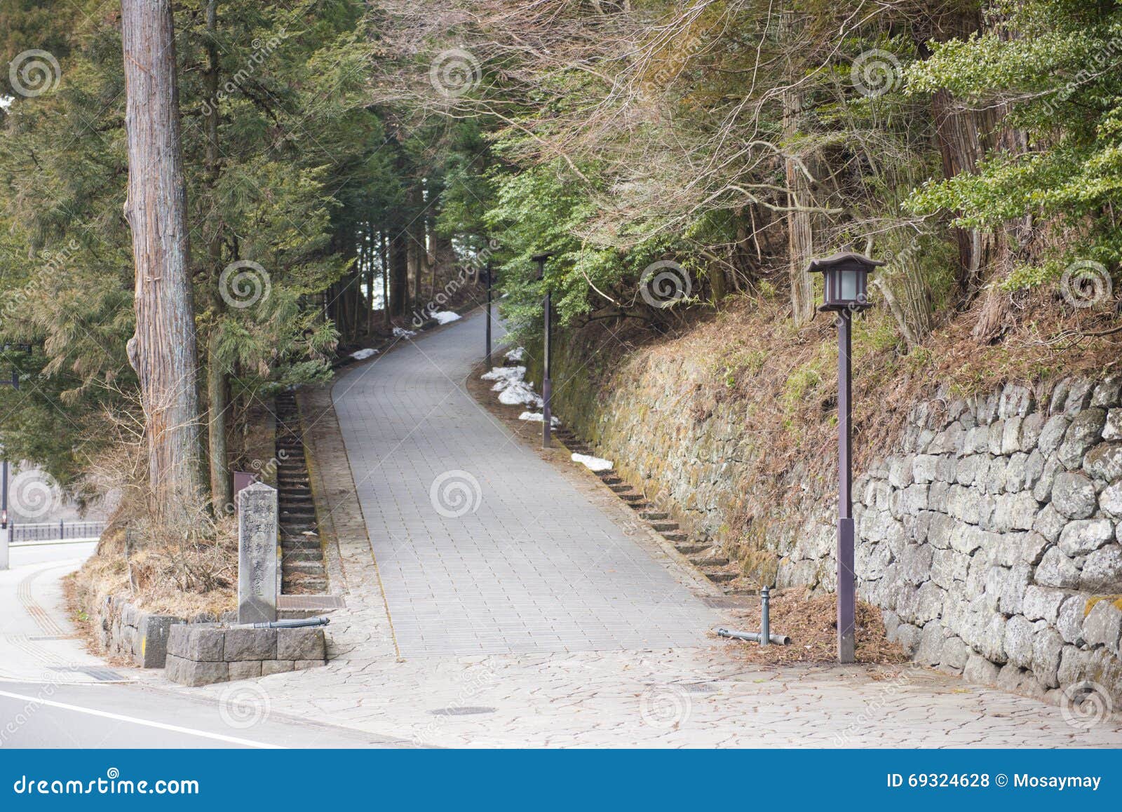 Pathway up to the hill stock photo. Image of forest, park - 69324628