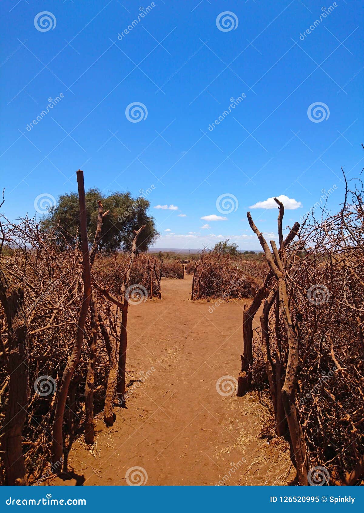 Pathway Using Sticks for Creating a Traditional Homestead Stock Image ...