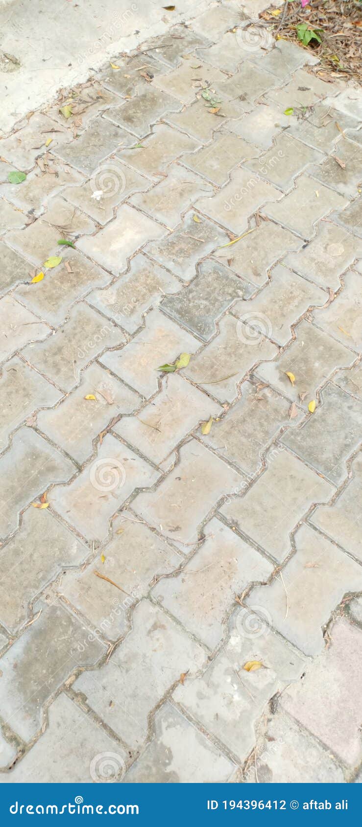 Pathway in the village stock photo. Image of asphalt - 194396412