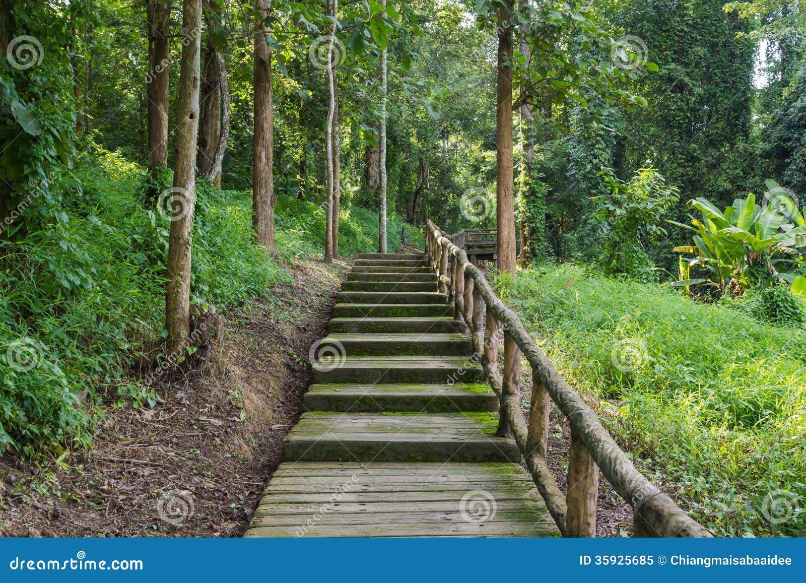 Pathway in the village stock image. Image of lush, nonurban - 35925685