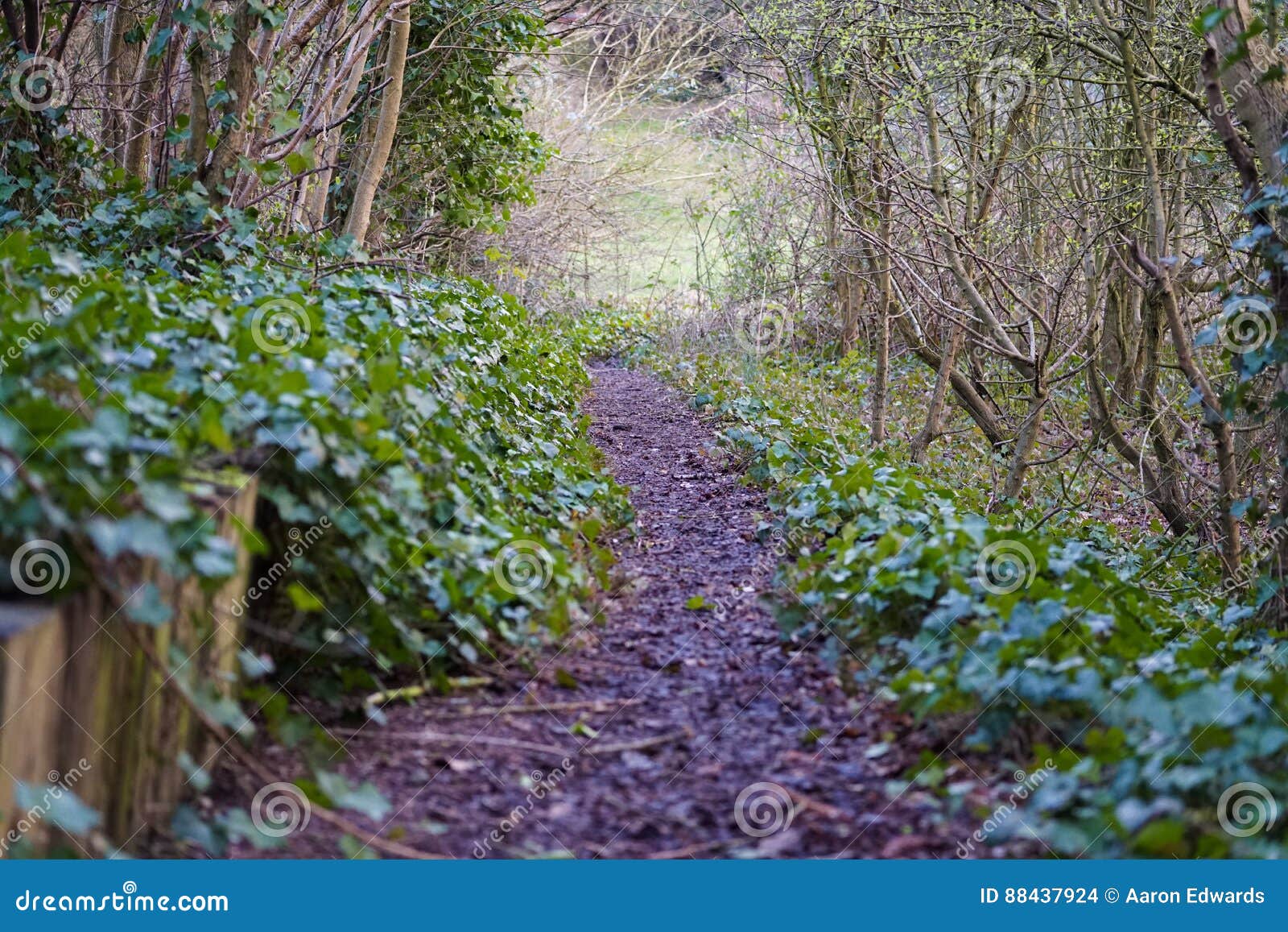 Pathway stock photo. Image of colours, walk, pathway - 88437924