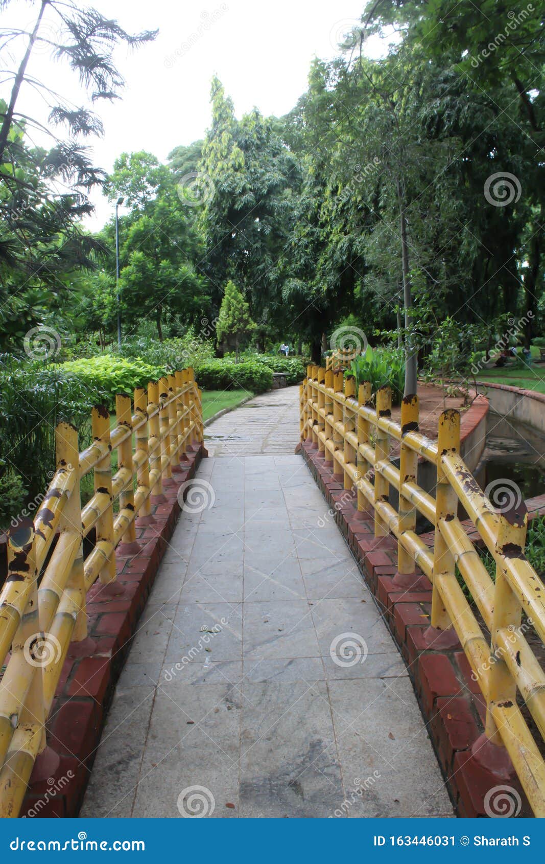 Pathway for walking stock image. Image of landscape - 163446031