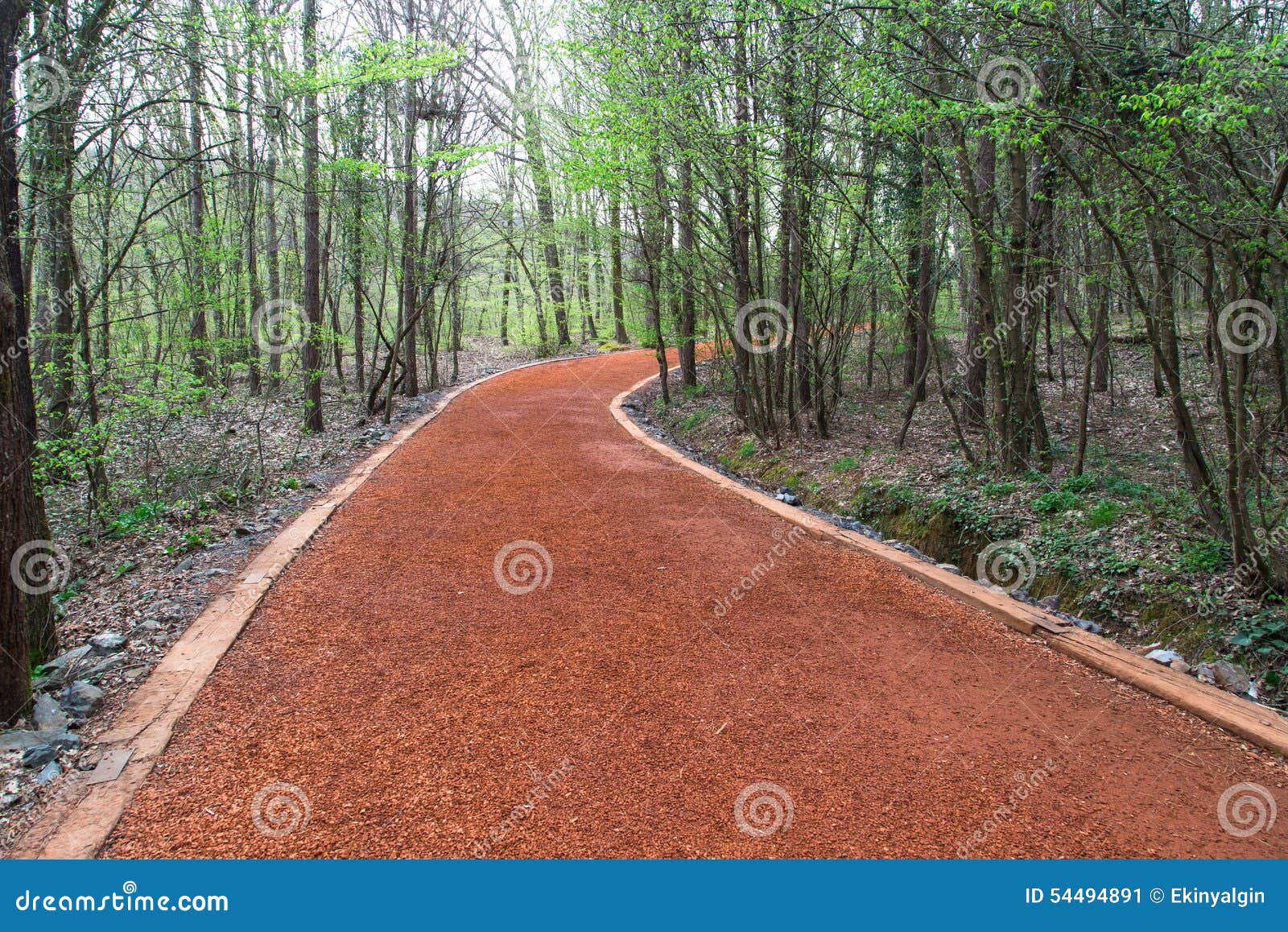 Pathway for Walking Sport stock image. Image of branch - 54494891