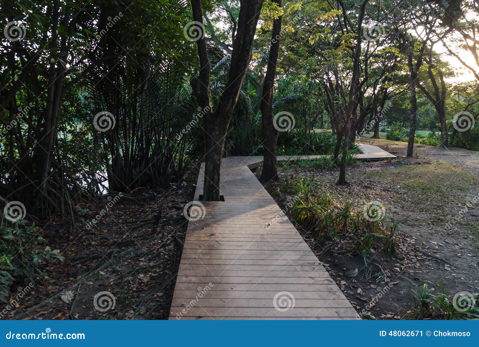 Pathway stock image. Image of grass, garden, tree, peaceful - 48062671