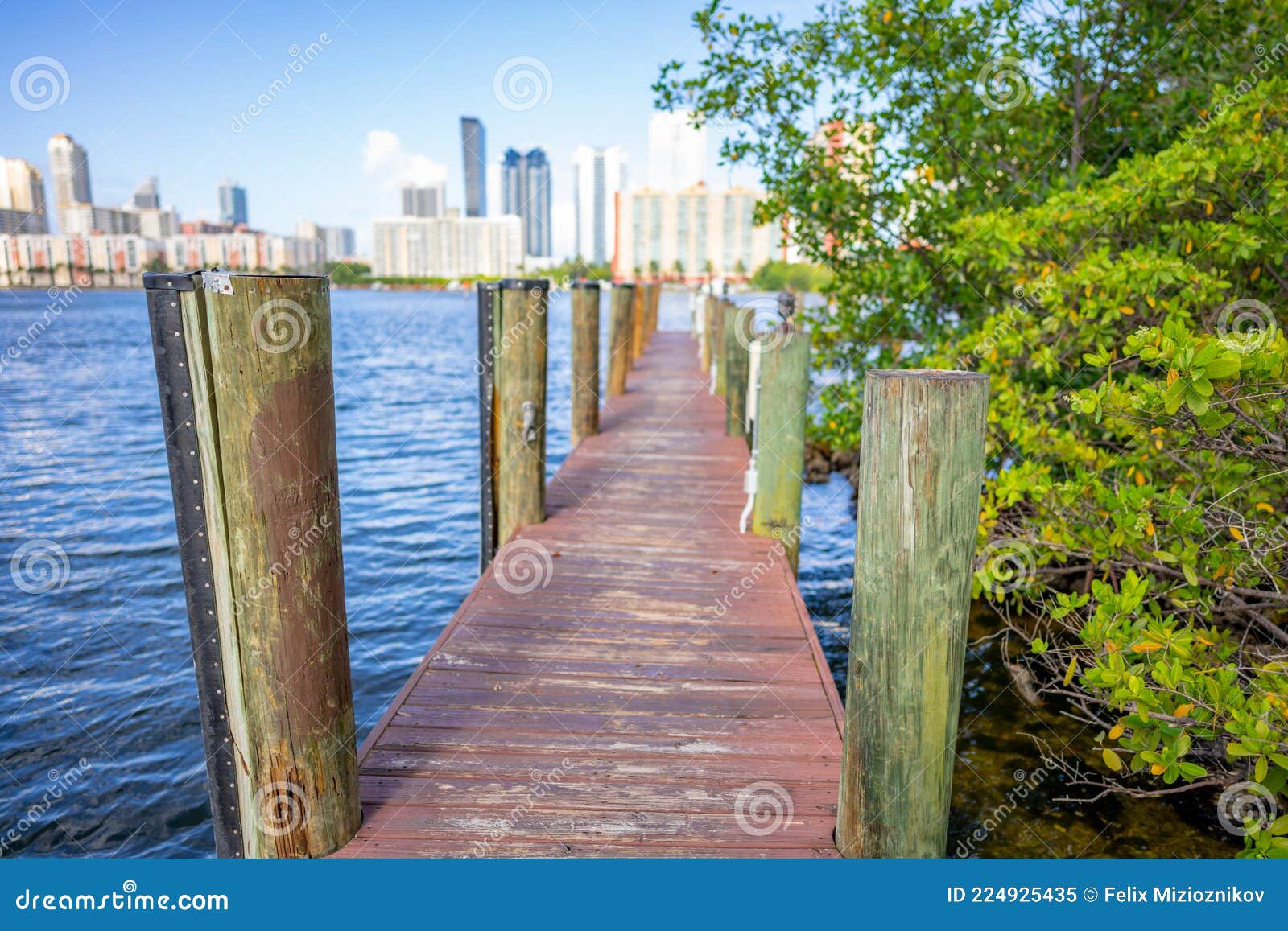 Pathway on the water docks stock image. Image of docks - 224925435