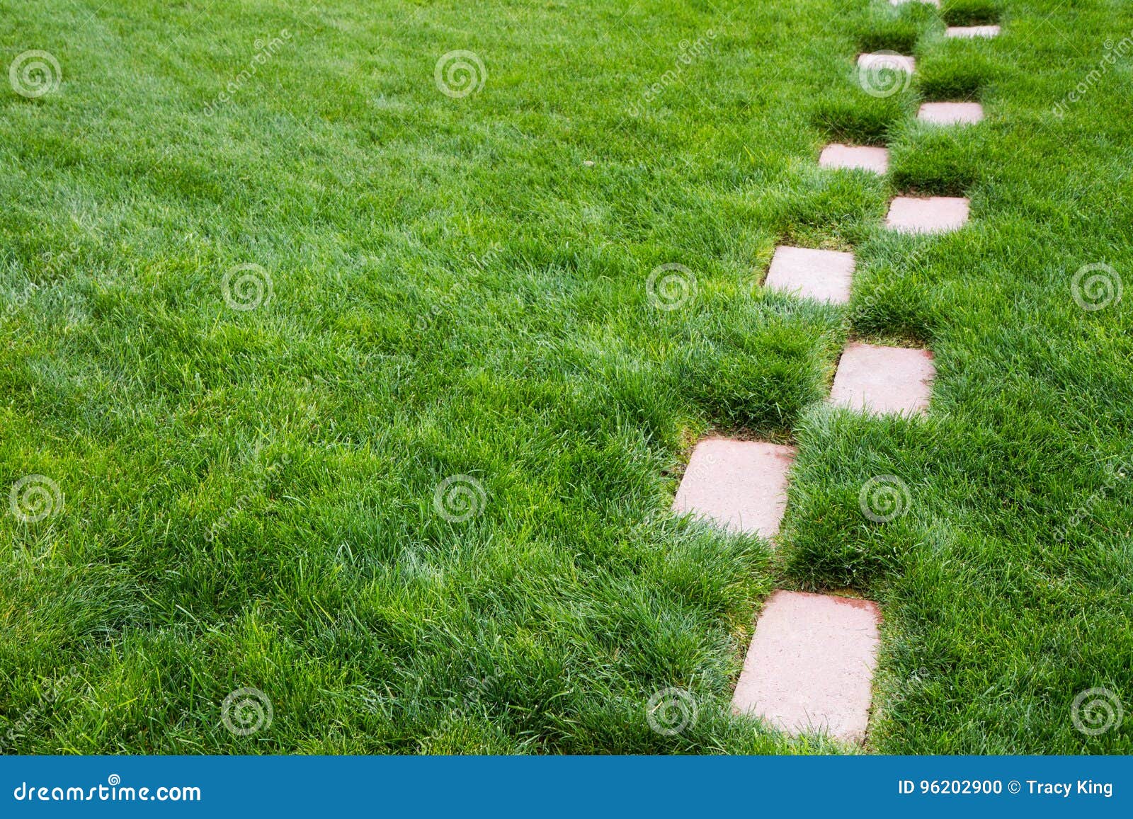 Pathway stock photo. Image of walkway, path, field, pathway - 96202900