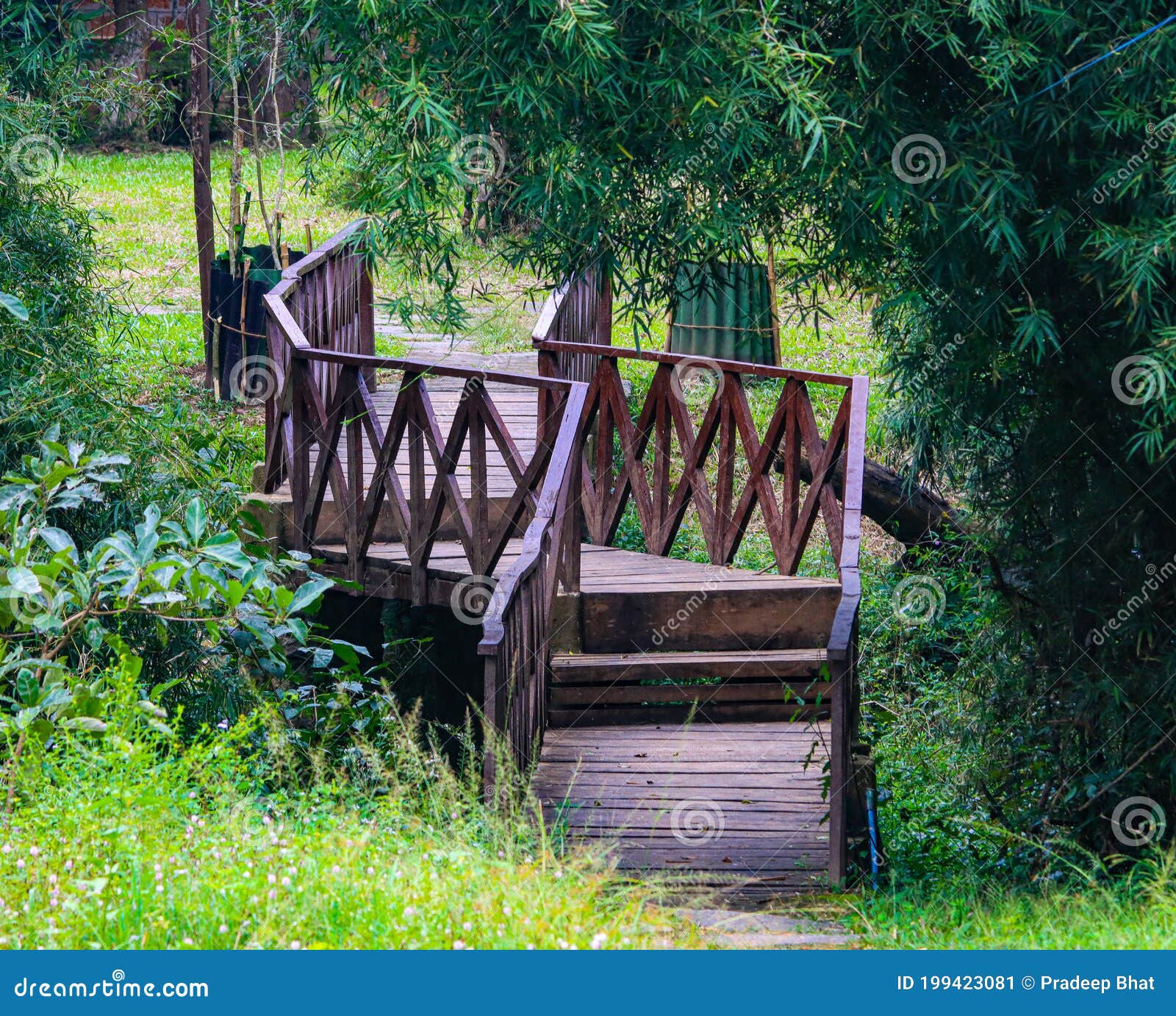 Pathway in the wild stock image. Image of wild, pathway - 199423081