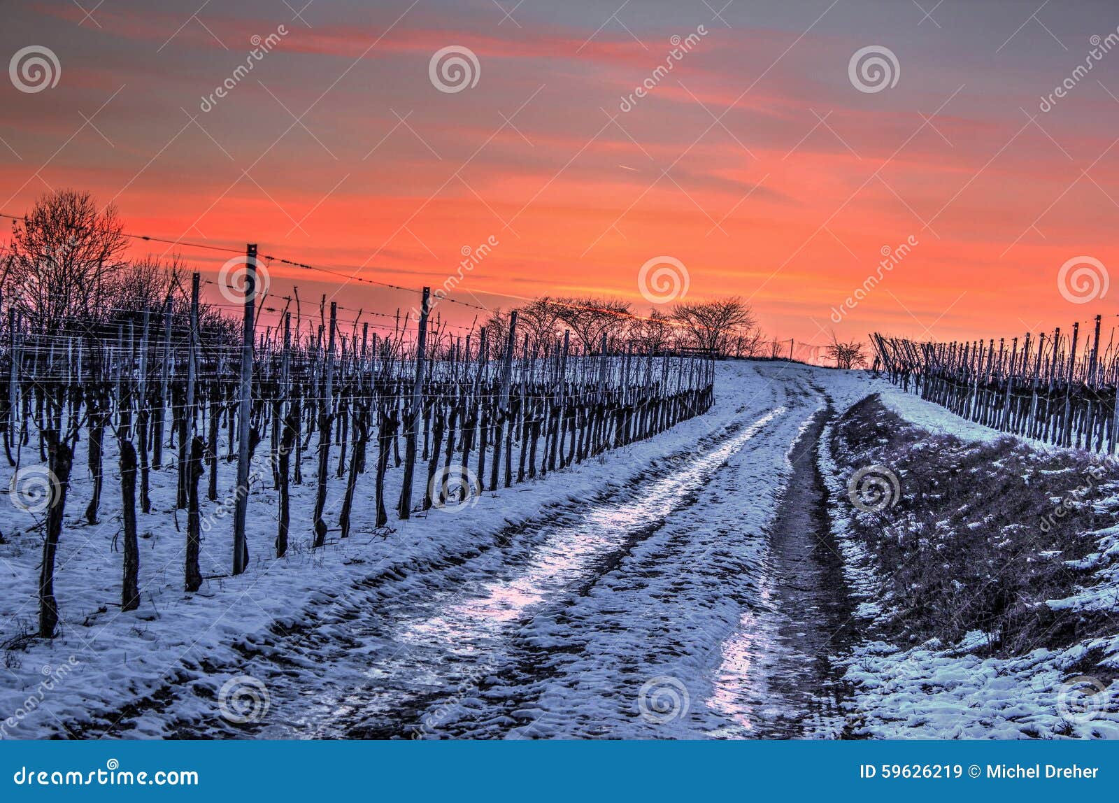 Pathway in winter evening stock image. Image of snow - 59626219