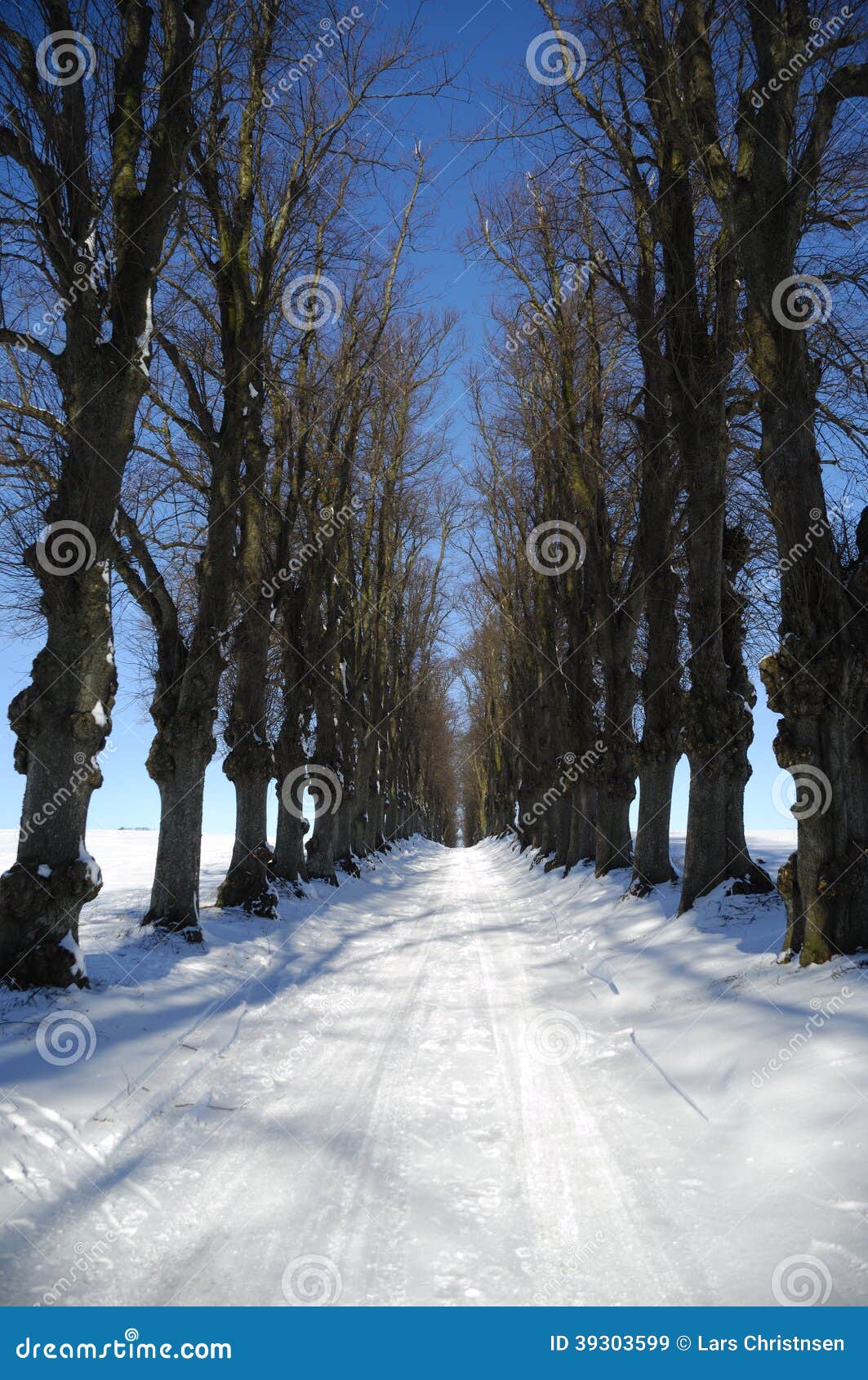 Pathway at winter stock image. Image of hike, nature - 39303599