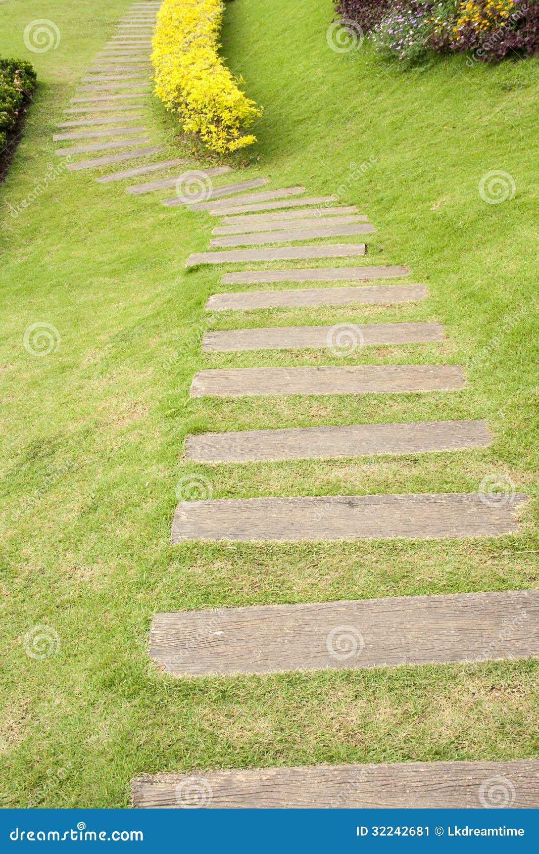 Pathway Wooden Implant in Grass Stock Image - Image of natural ...