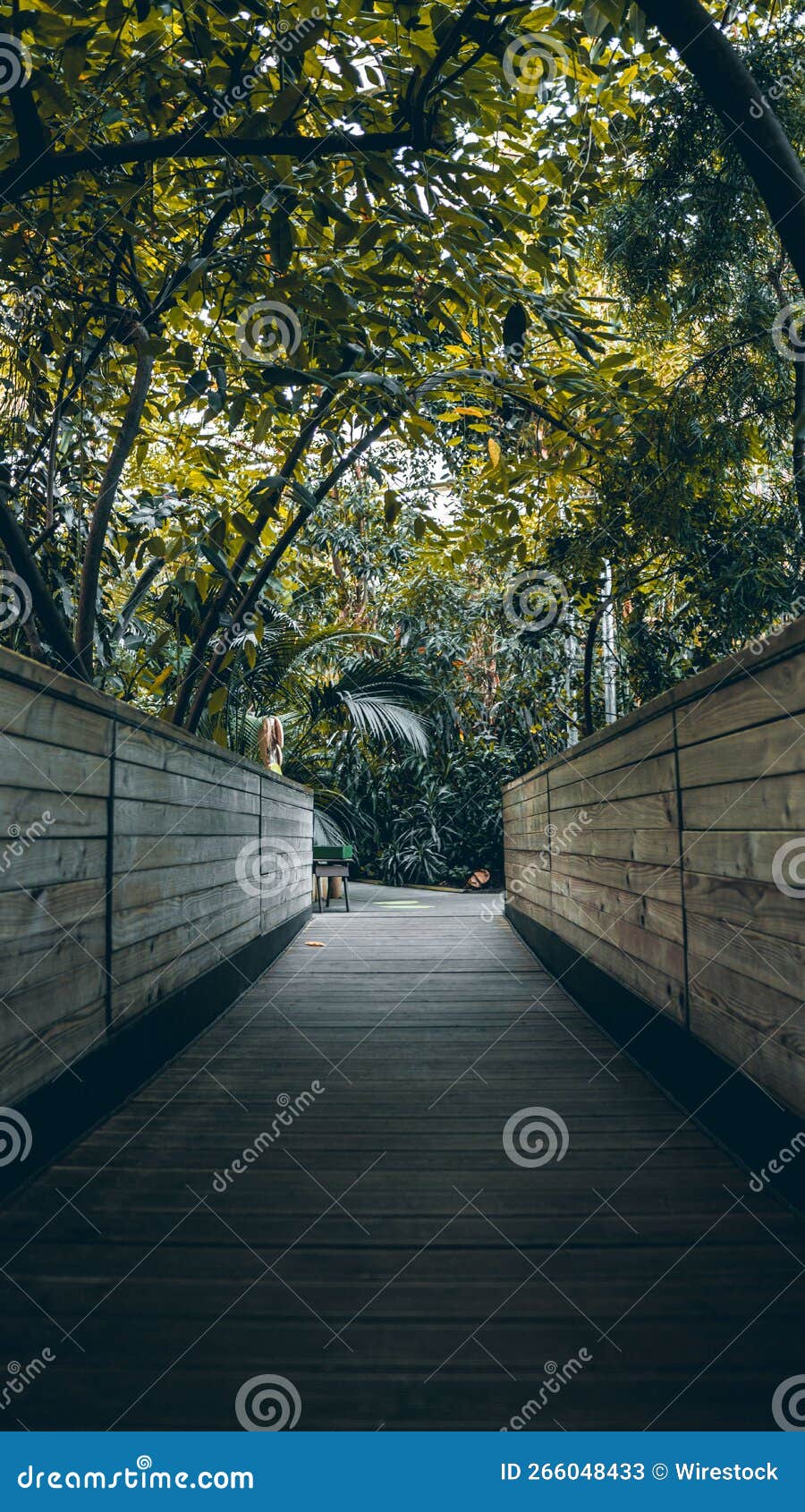 Pathway with Wooden Platform and Railings in a Tropical Park Stock ...