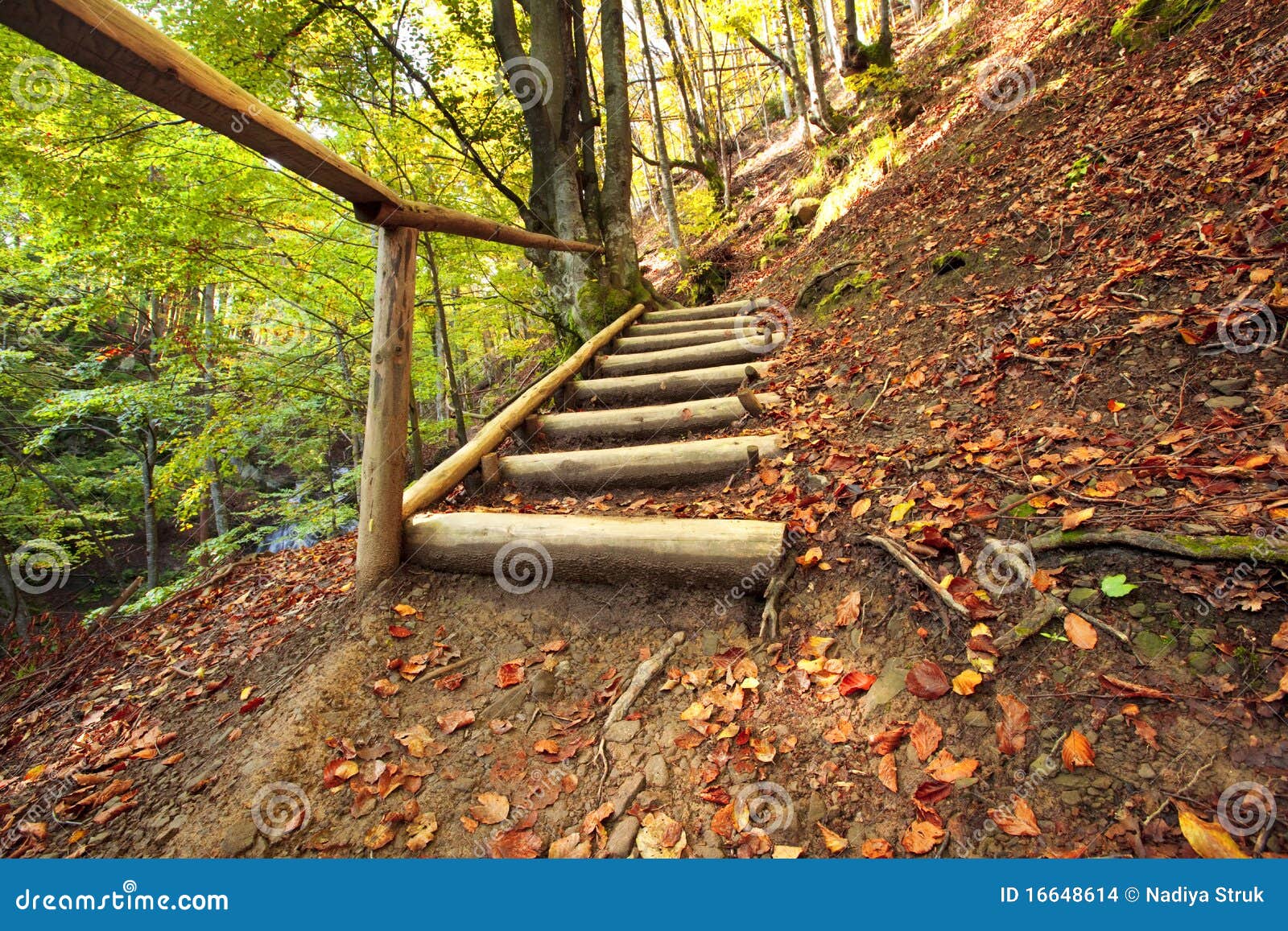 Pathway wooden stairs stock photo. Image of pathway, footpath - 16648614