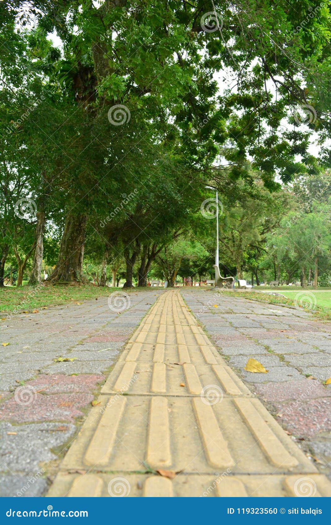 Pathway stock photo. Image of line, pathway, people - 119323560